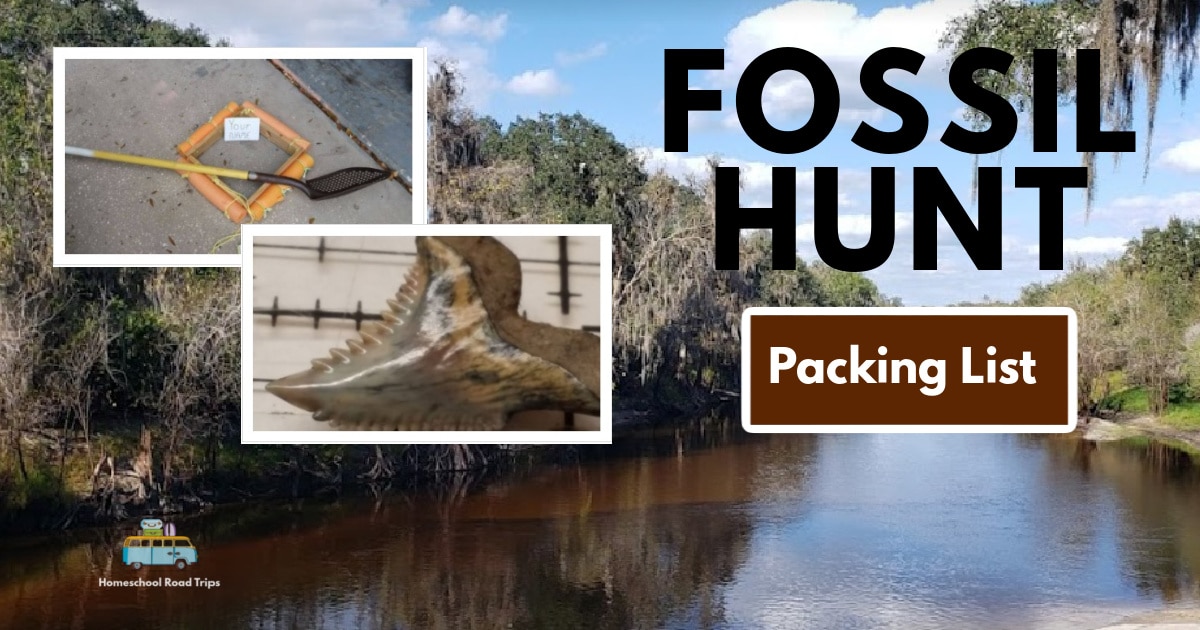 Fossil Hunt Packing List – Homeschool Travel Adventures